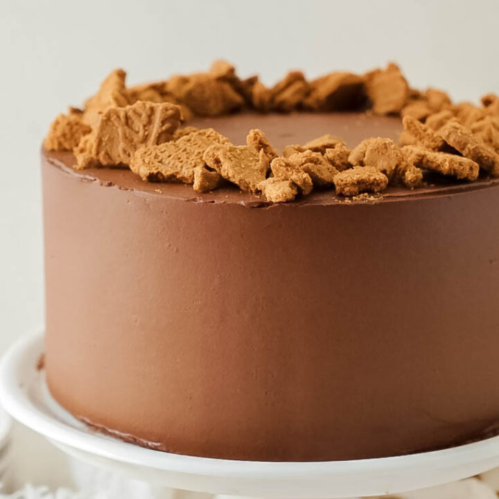 The Most Scrumptious Biscoff Fudge Cake - Cake Babe