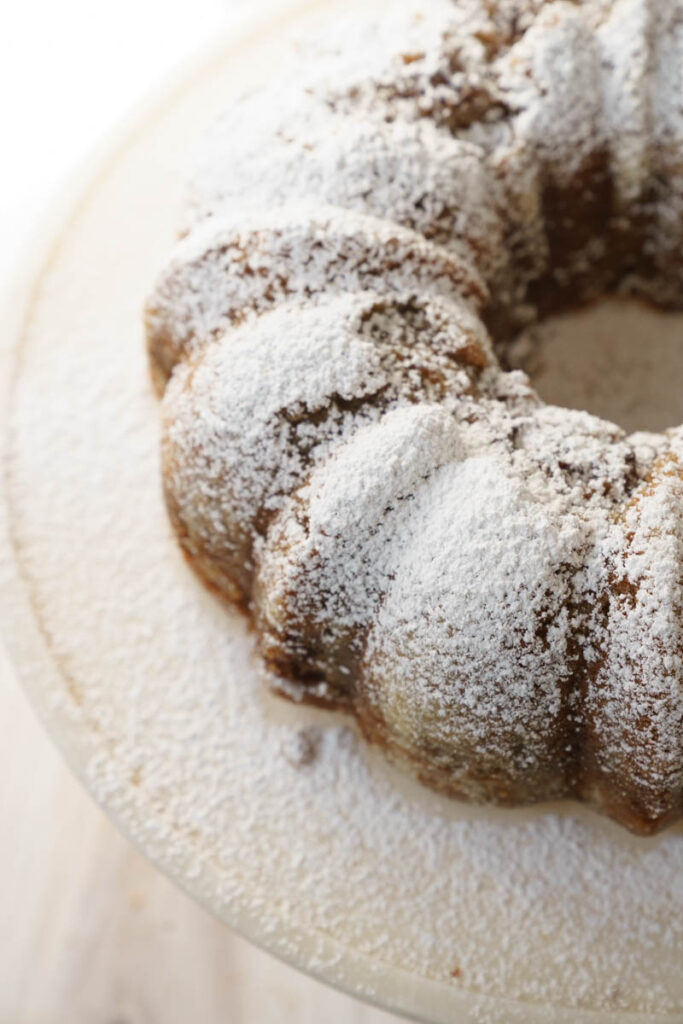 The Greatest Powder Sugar Apple Cider Donut Cake - Cake Babe