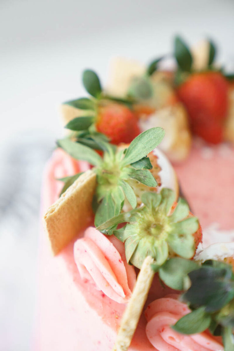 Spring Inspired S'mores Strawberry Cake - Cake Babe Bakery