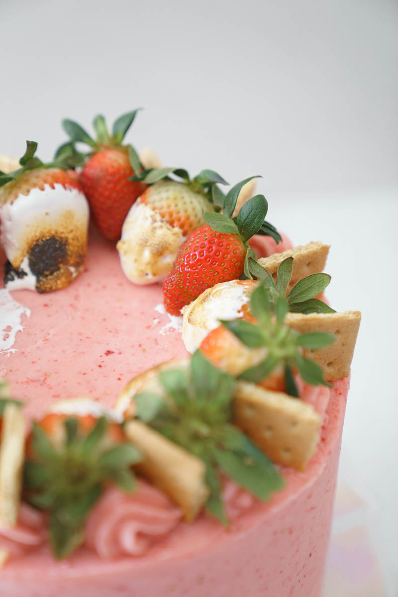 Spring Inspired S'mores Strawberry Cake - Cake Babe