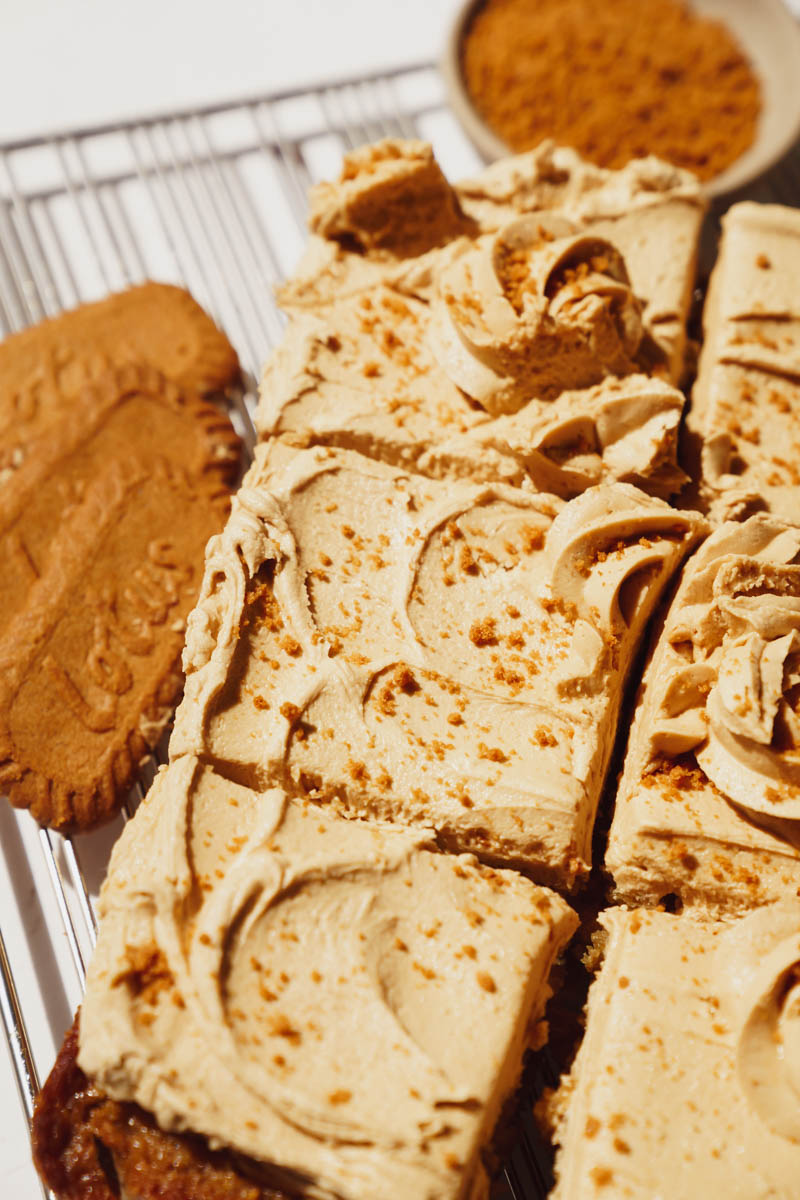 2 Hour Easy Biscoff Snack Cake - Cake Babe Bakery