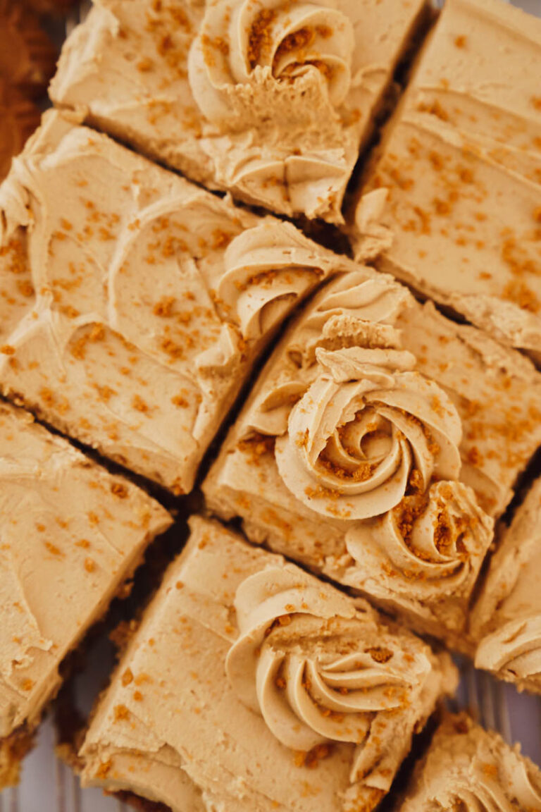 2 Hour Easy Biscoff Snack Cake - Cake Babe Bakery