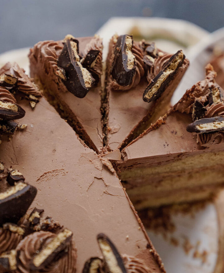 Best Chocolate Fudge Cake With Fudge Frosting - Cake Babe