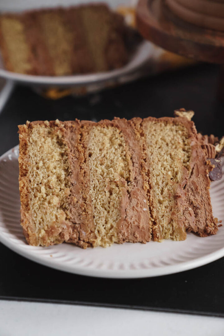 Easy To Make Chocolate Graham Cracker Cake - Cake Babe