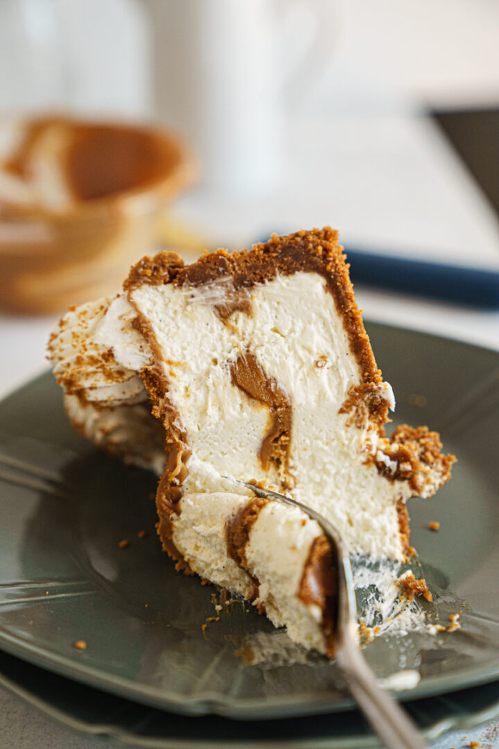 Irresistibly Easy No Bake Biscoff Cheesecake - Cake Babe Bakery