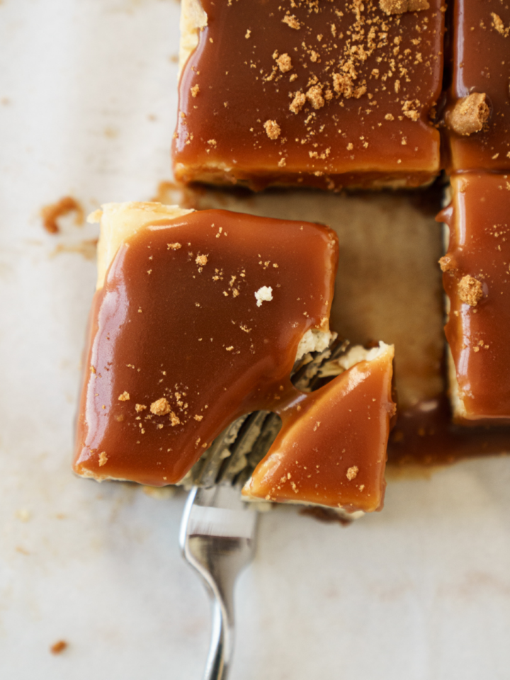 Salted Caramel Biscoff Cheesecake Bars - Cake Babe Bakery