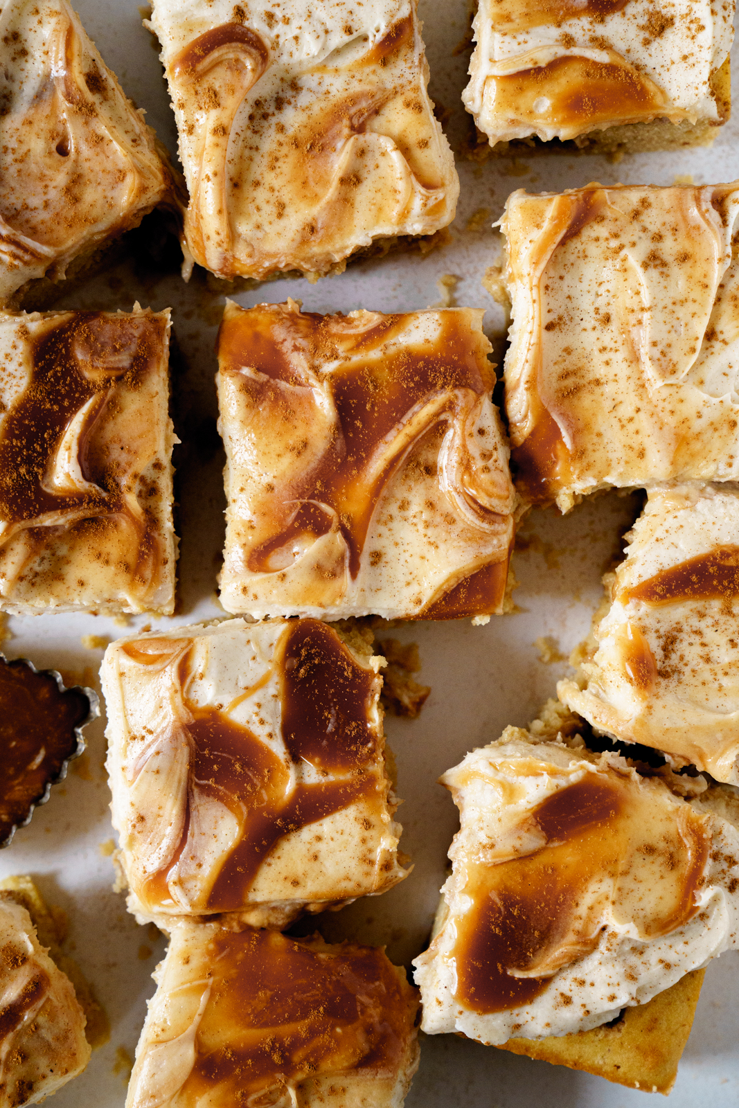 Best Caramel Snickerdoodle Cake Recipe - Cake Babe Bakery